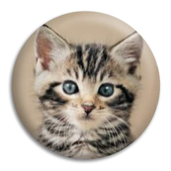 Kitten Button Badge – Button Empire